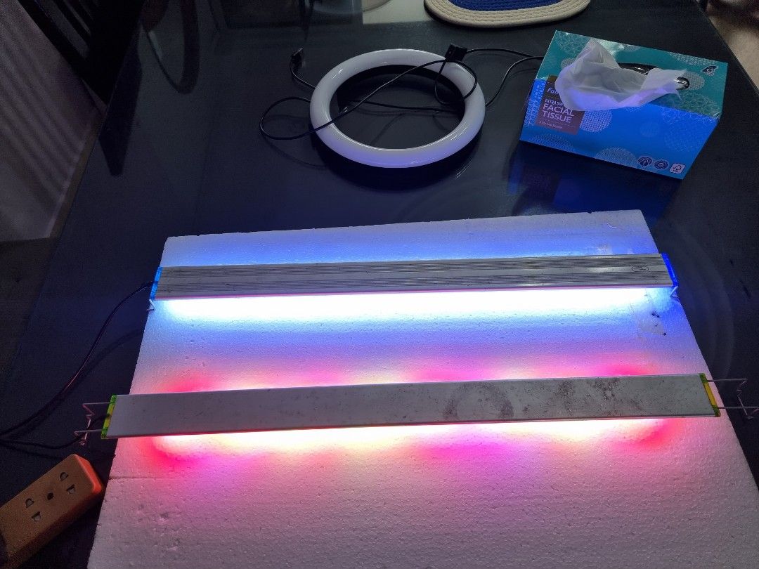 Aquazonic 2ft aquarium light (pink and blue), Pet Supplies, Homes ...