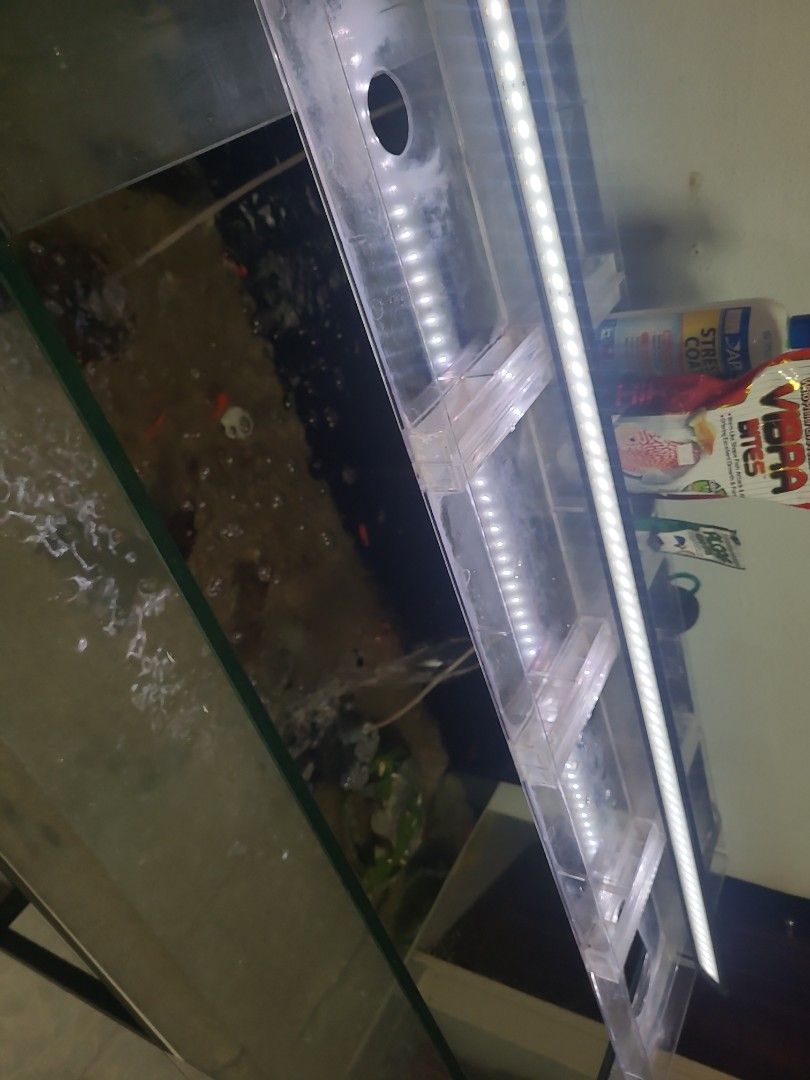 Fish Tank 4ft×2ft×2ft + Mild Steel Stand + 4ft LED Lighting + Fluval ...