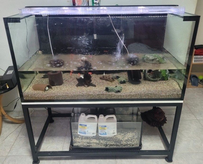 Fish Tank 4ft×2ft×2ft + Mild Steel Stand + 4ft LED Lighting + Fluval ...
