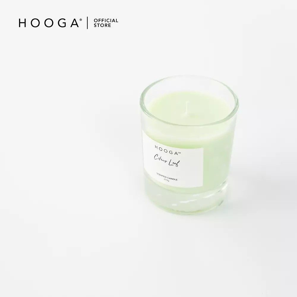 Hooga Candle Citrus Leaf, Furniture & Home Living, Home Fragrance on ...