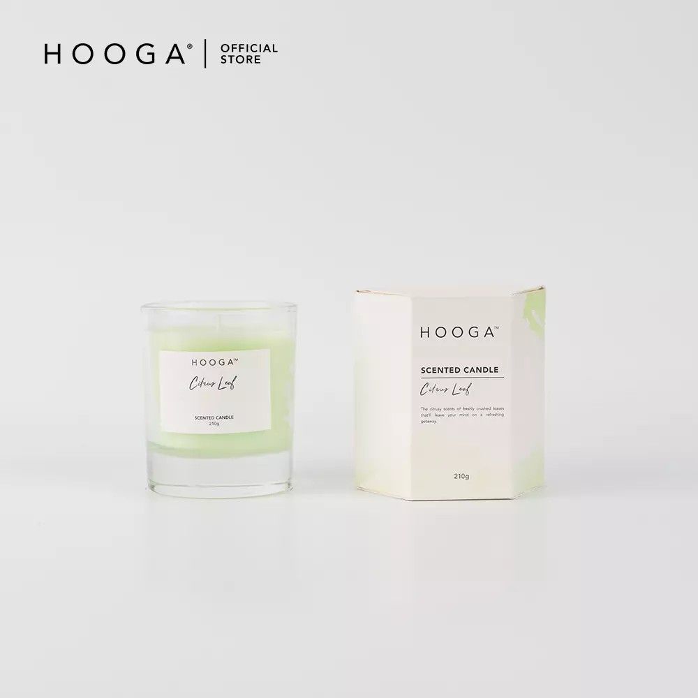 Hooga Candle Citrus Leaf, Furniture & Home Living, Home Fragrance on ...