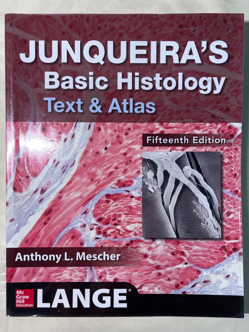 Junqueira's Basic Histology Text & Atlas 15th Edition by Anthony ...