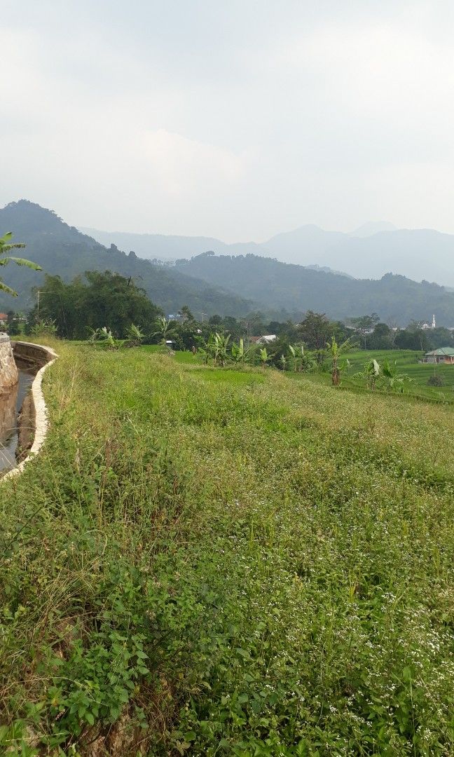 Tanah di Desa Gunung Picung Bogor, Properti, Dijual di Carousell