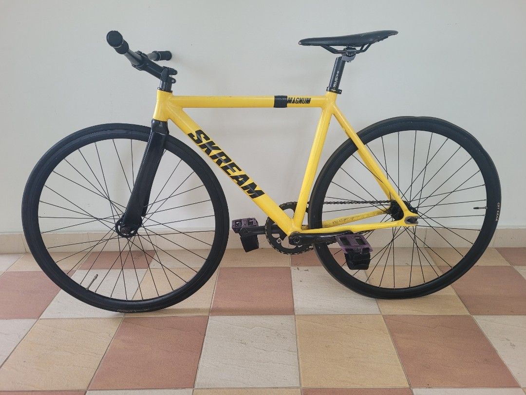 FB Carbon fork, Skream Magnum. Custom track bike. WTS only., Sports ...