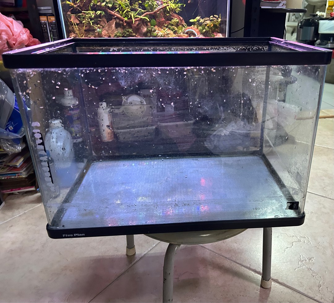 fish tank, Pet Supplies, Homes & Other Pet Accessories on Carousell