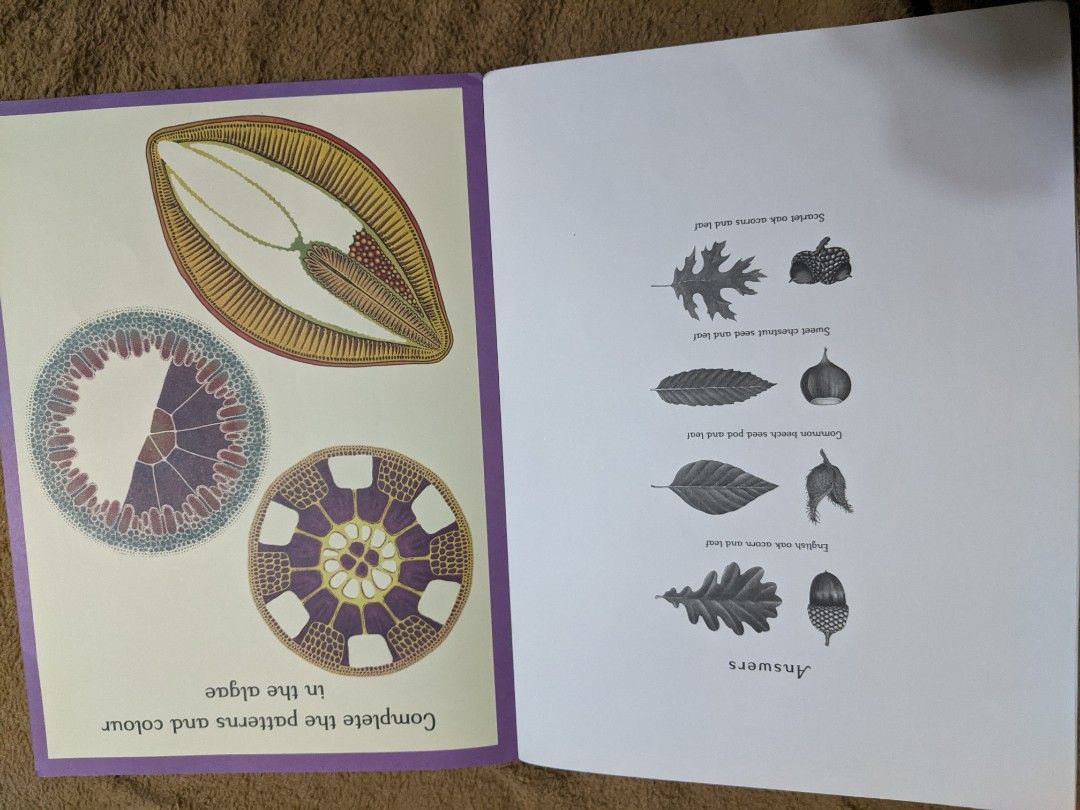 Botanicum Activity Book on Carousell
