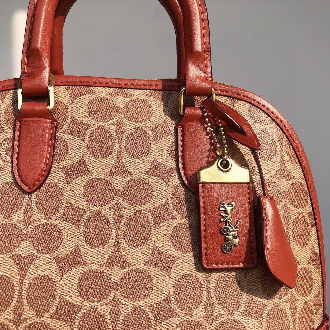 Coach CC414 Revel shell bag, Women's Fashion, Bags & Wallets, Shoulder ...