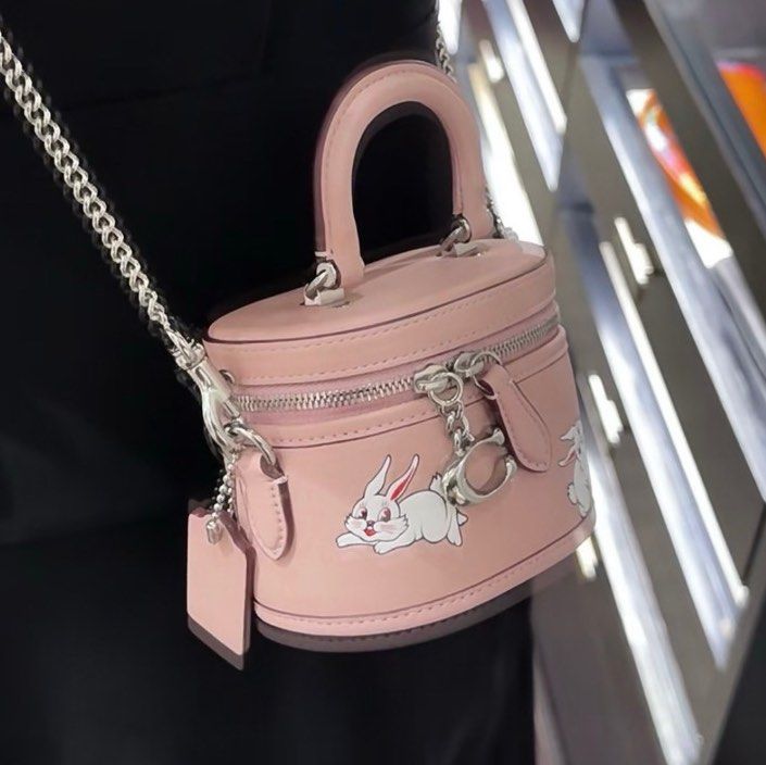 Coach Rabbit Bucket Sling Bag, Women's Fashion, Bags & Wallets, Cross ...