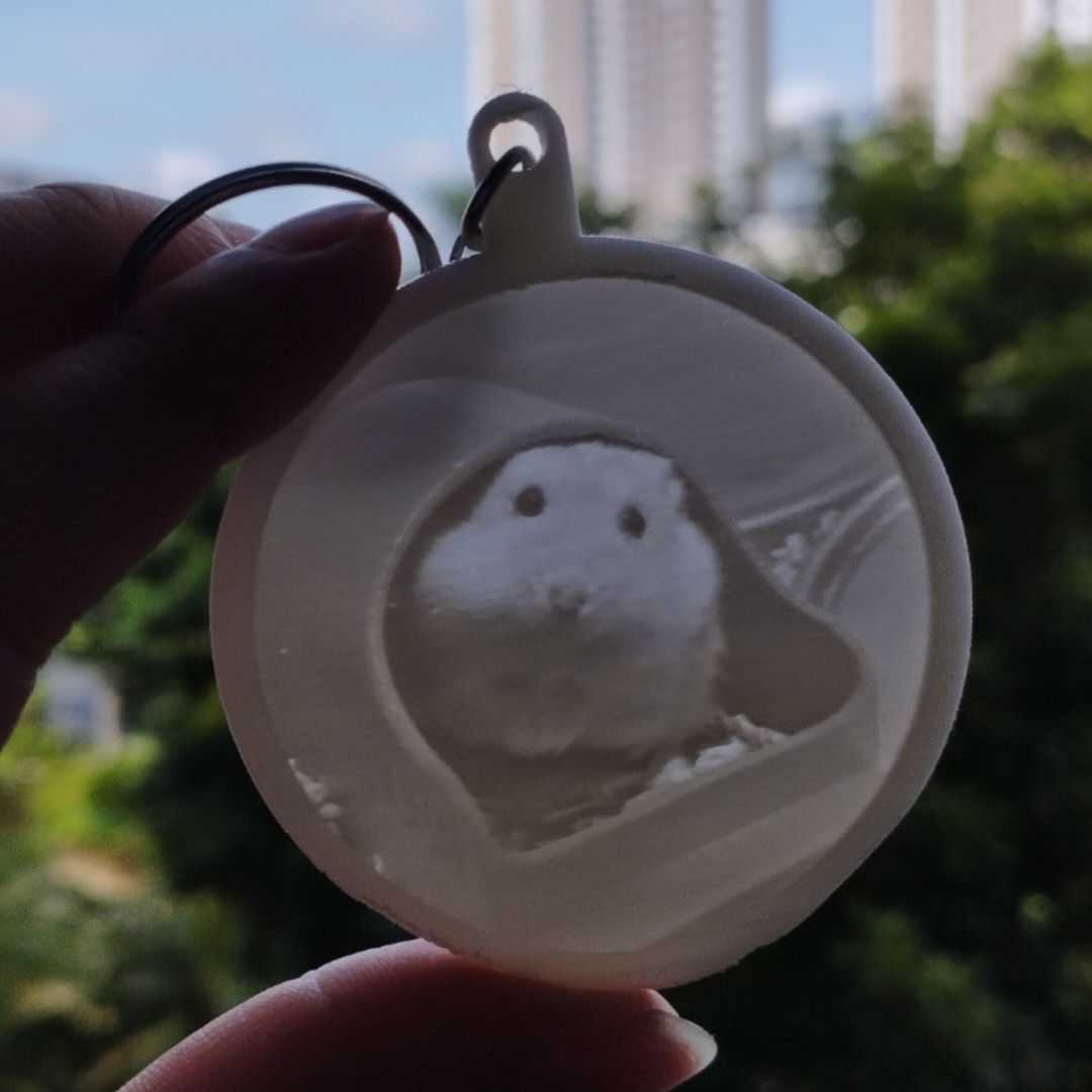 Custom 3D printed lithophane keychain photo pets gift couples friend ...