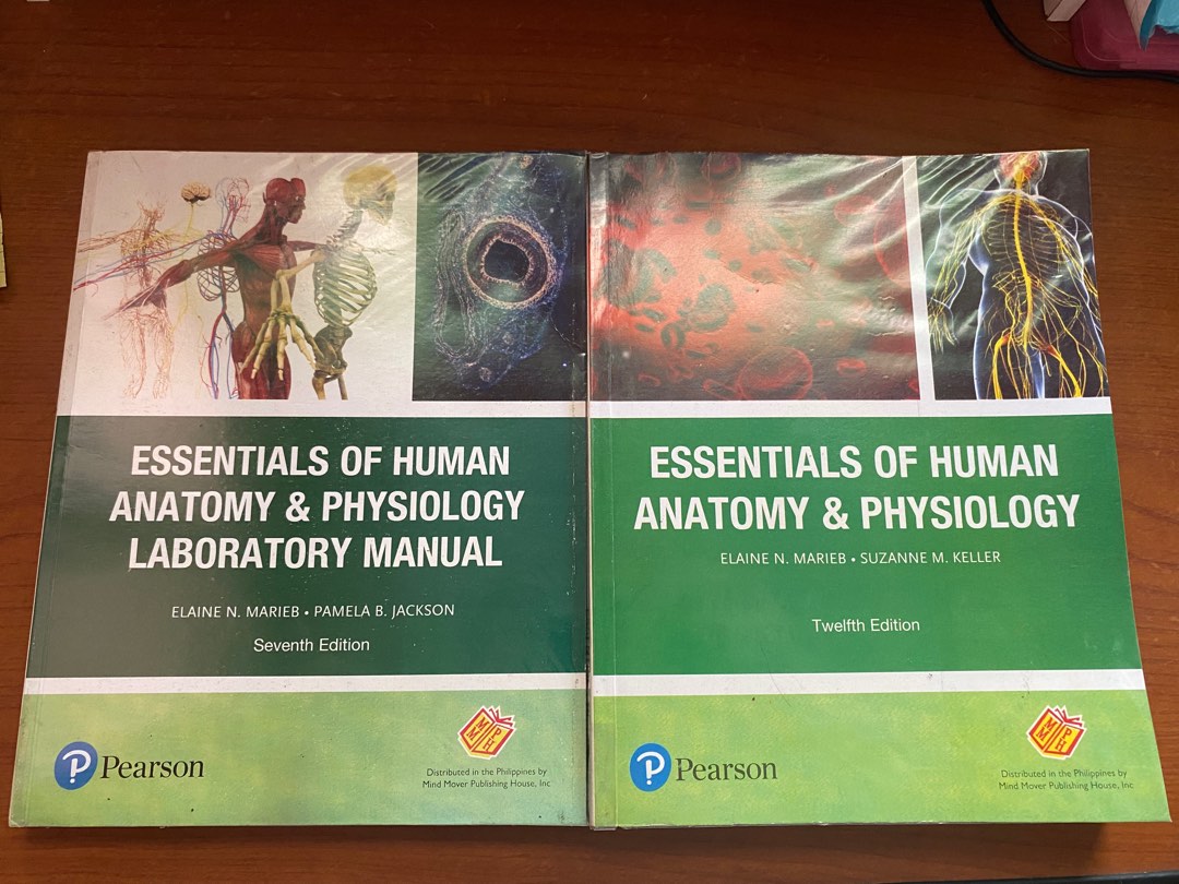 Essentials of Human Anatomy & Physiology Book, Hobbies & Toys, Books ...