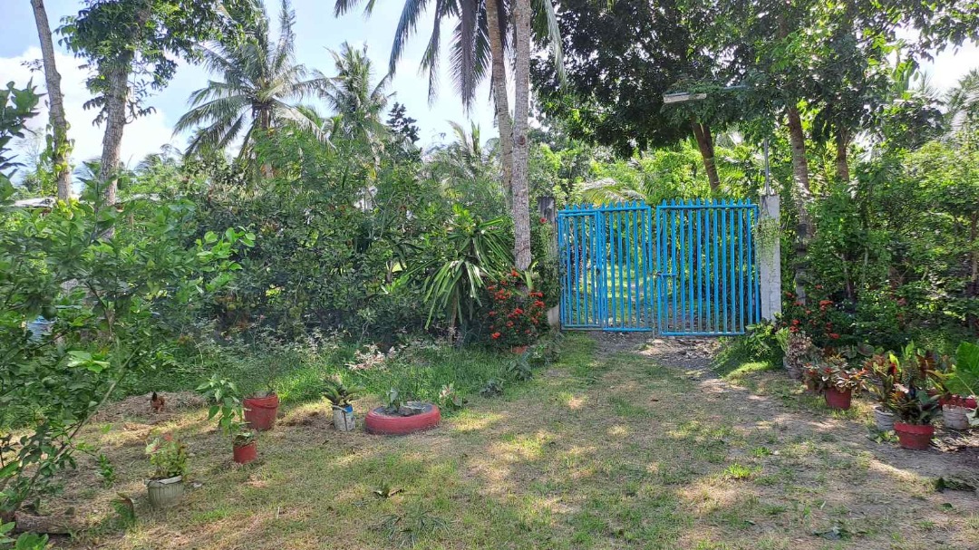 Farm Land with Vacation House and Bahay Kubo for Sale, Property, For ...
