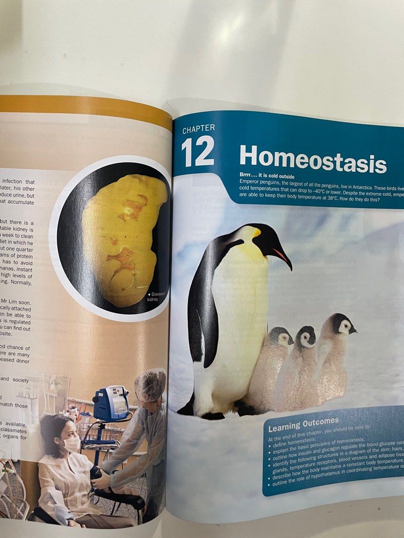 Marshall Cavendish GCE O Level Biology Matters(Textbook), Hobbies ...