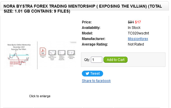 Nora Bystra forex trading Mentorship ( Exposing The Villian) (Total ...