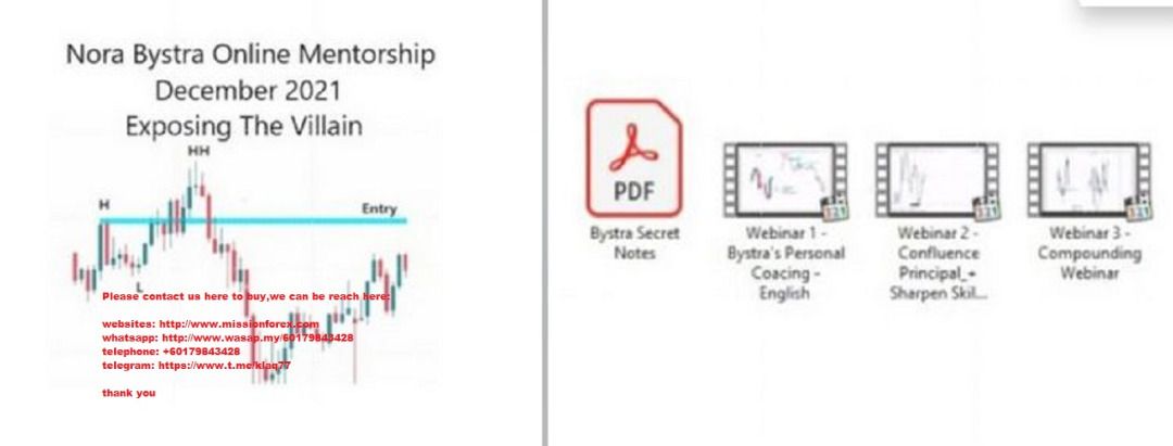 Nora Bystra forex trading Mentorship ( Exposing The Villian) (Total size: 1.01 GB Contains: 9 ...