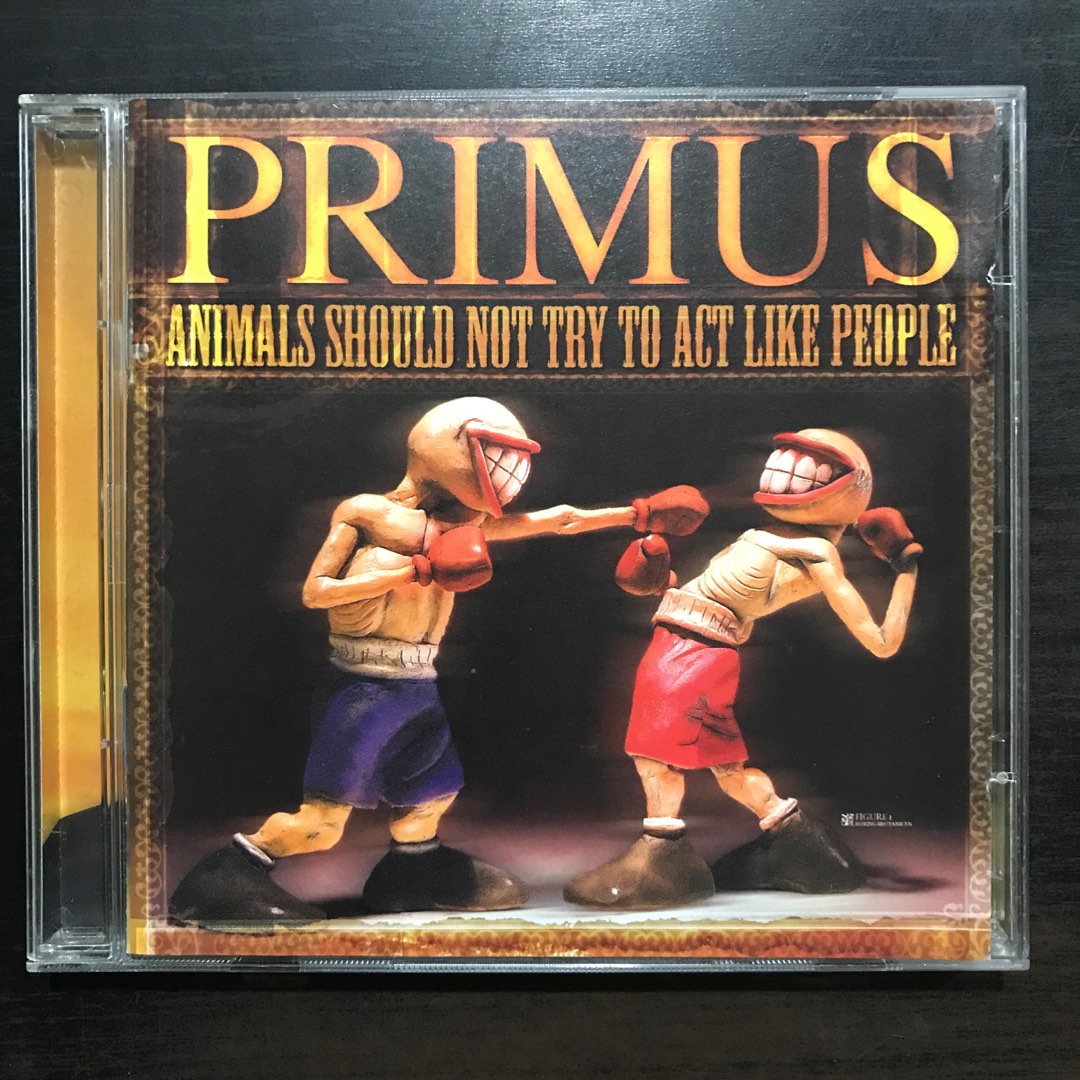 Primus CD + DVD (Box 23rd), Hobbies & Toys, Music & Media, CDs & DVDs ...