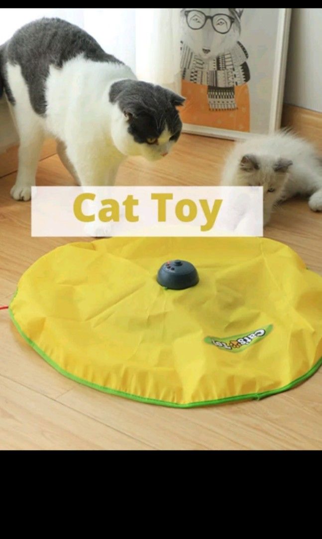 Rotating cat toy, Pet Supplies, Homes & Other Pet Accessories on Carousell