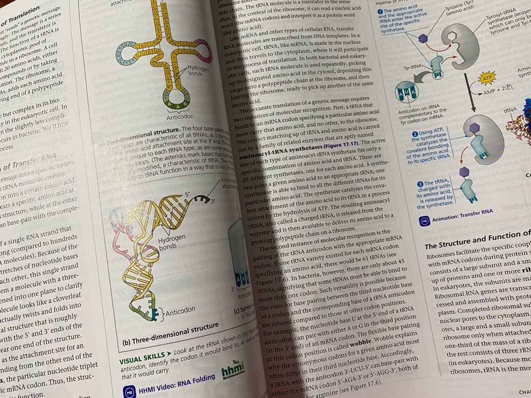 WTS Biology Textbook - Campbell 11th Ed, Hobbies & Toys, Books ...