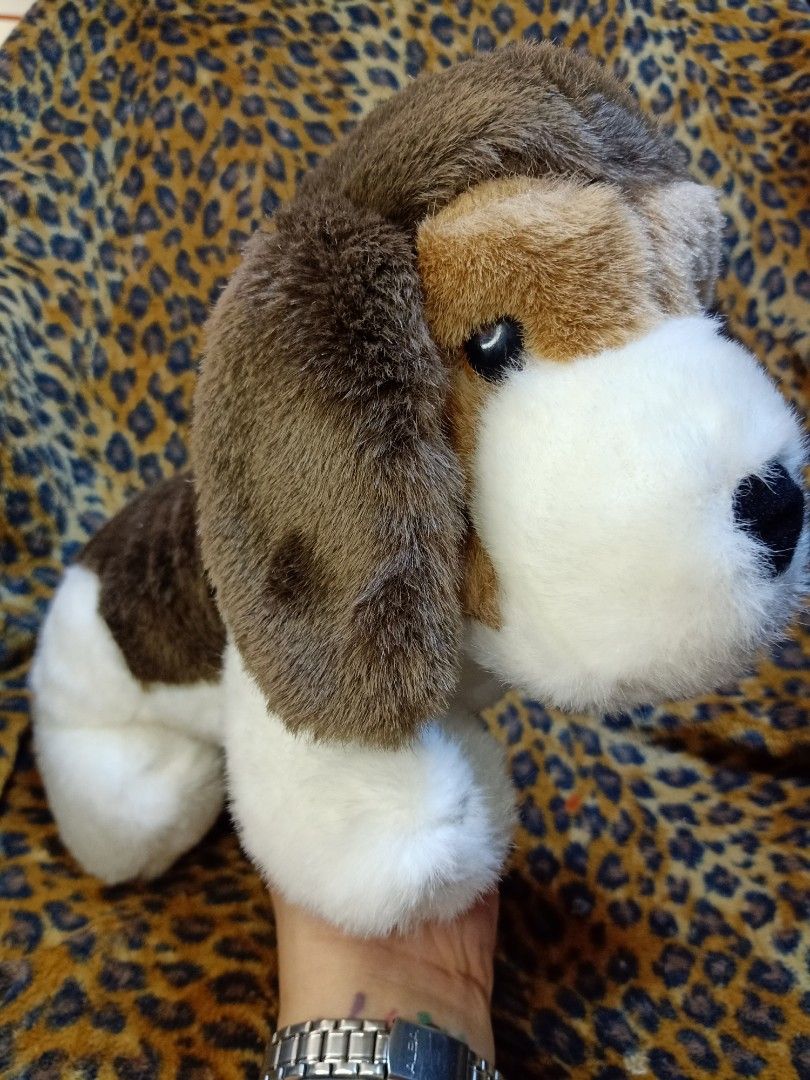 BIG SIZE BEAGLE PLUSH DOG, Hobbies & Toys, Toys & Games on Carousell