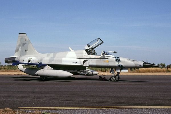 Custom Build - 1/72 Northrop F-5E Tiger II, aircraft 815 of RSAF 141 Sqn 'Merlin', Paya Lebar ...