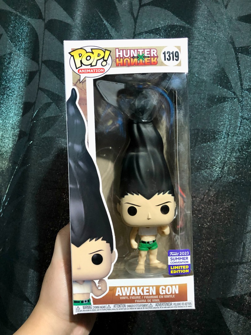Funko Pop! Animation - Hunter x Hunter Awaken Gon (Summer Convention Shared Exclusive), Hobbies ...