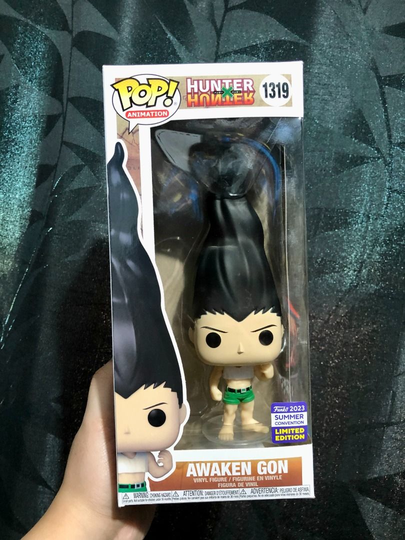 Funko Pop! Animation - Hunter x Hunter Awaken Gon (Summer Convention Shared Exclusive), Hobbies ...