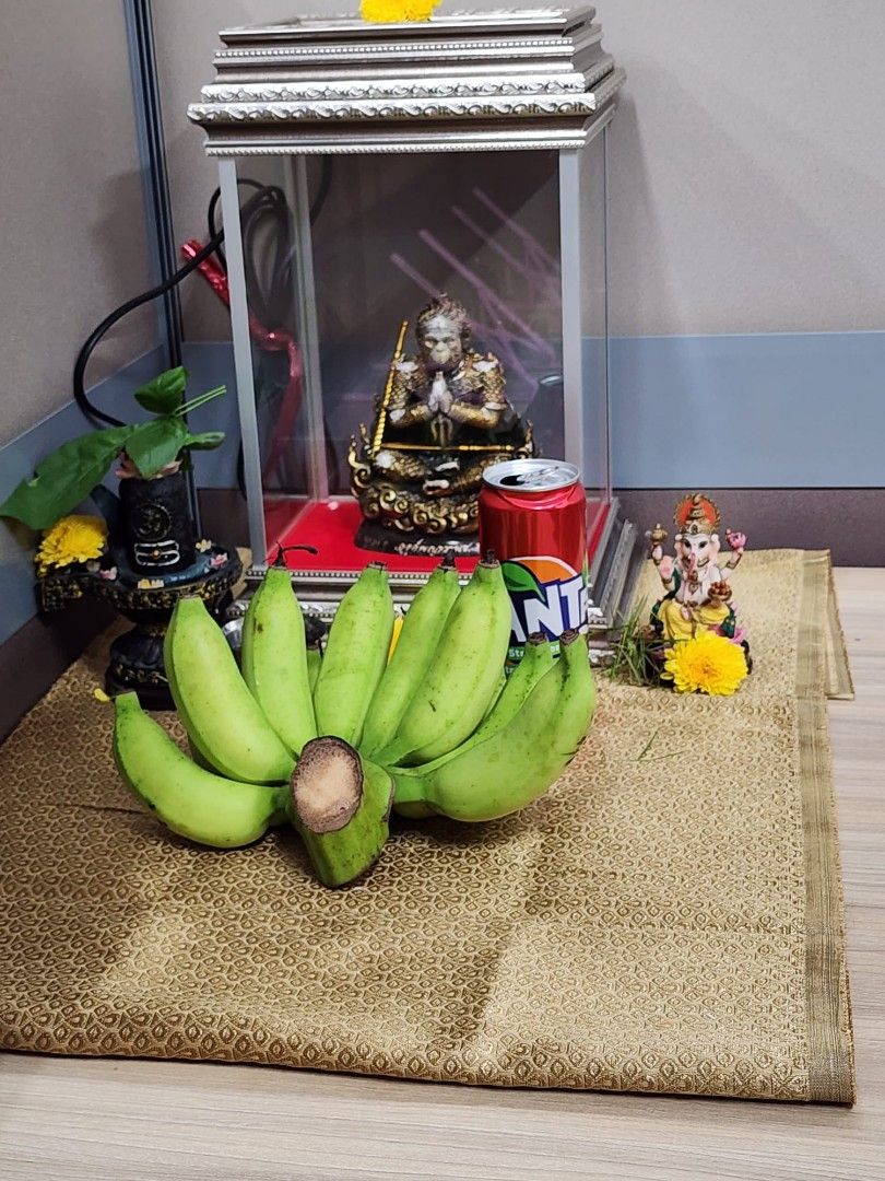 LP ANAN MONKEY GOD BUCHA THAI ORNAMENT HOUSING WITH LIGHT, Hobbies ...