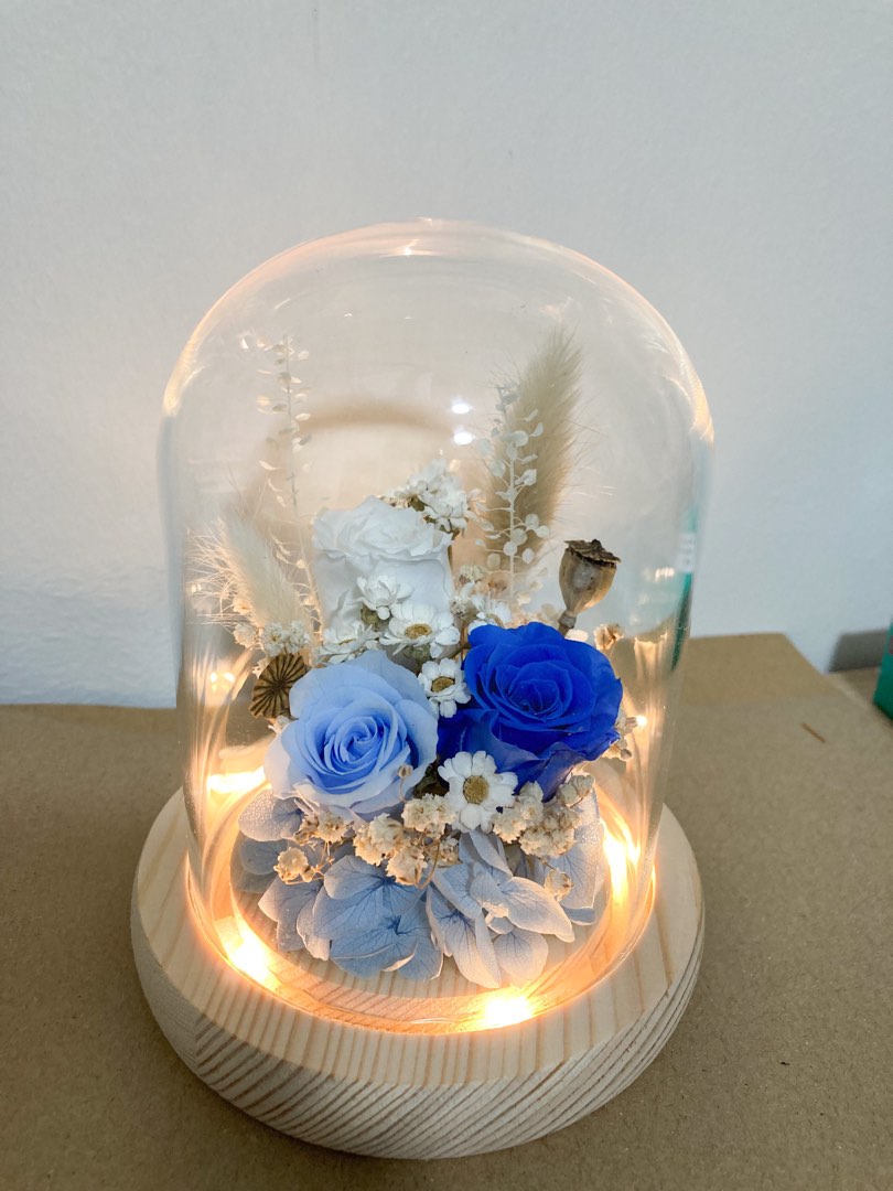 Pastel Blue Eternal Roses in Glass Dome, Hobbies & Toys, Stationery ...