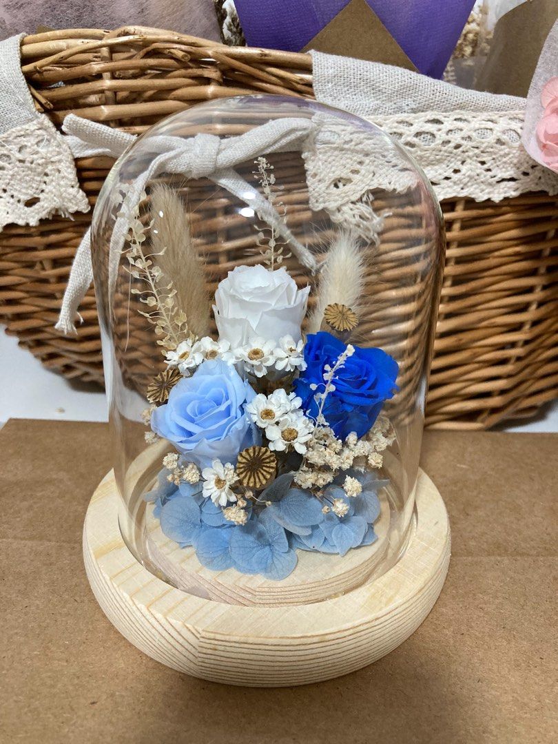 Pastel Blue Eternal Roses in Glass Dome, Hobbies & Toys, Stationery ...