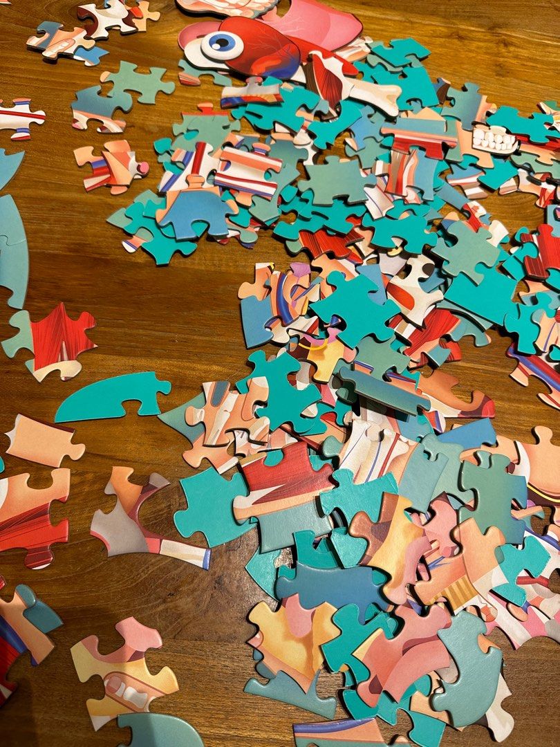 Sassi science - the human body puzzle and book, Hobbies & Toys, Toys ...