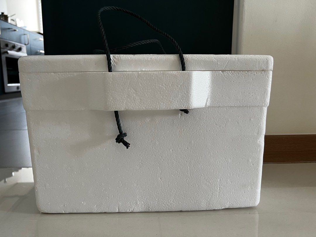 Styrofoam box with handles, Furniture & Home Living, Kitchenware ...