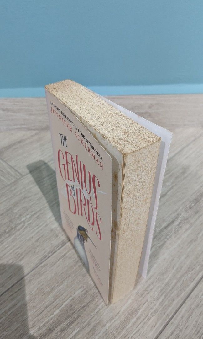 The Genius of Birds by Jennifer Ackerman, Hobbies & Toys, Books ...