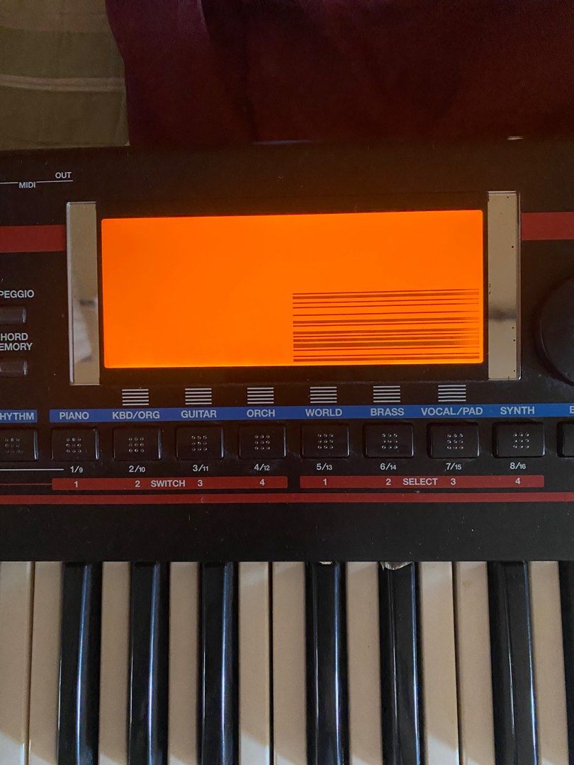 Roland Juno G, Hobbies & Toys, Music & Media, Musical Instruments on ...