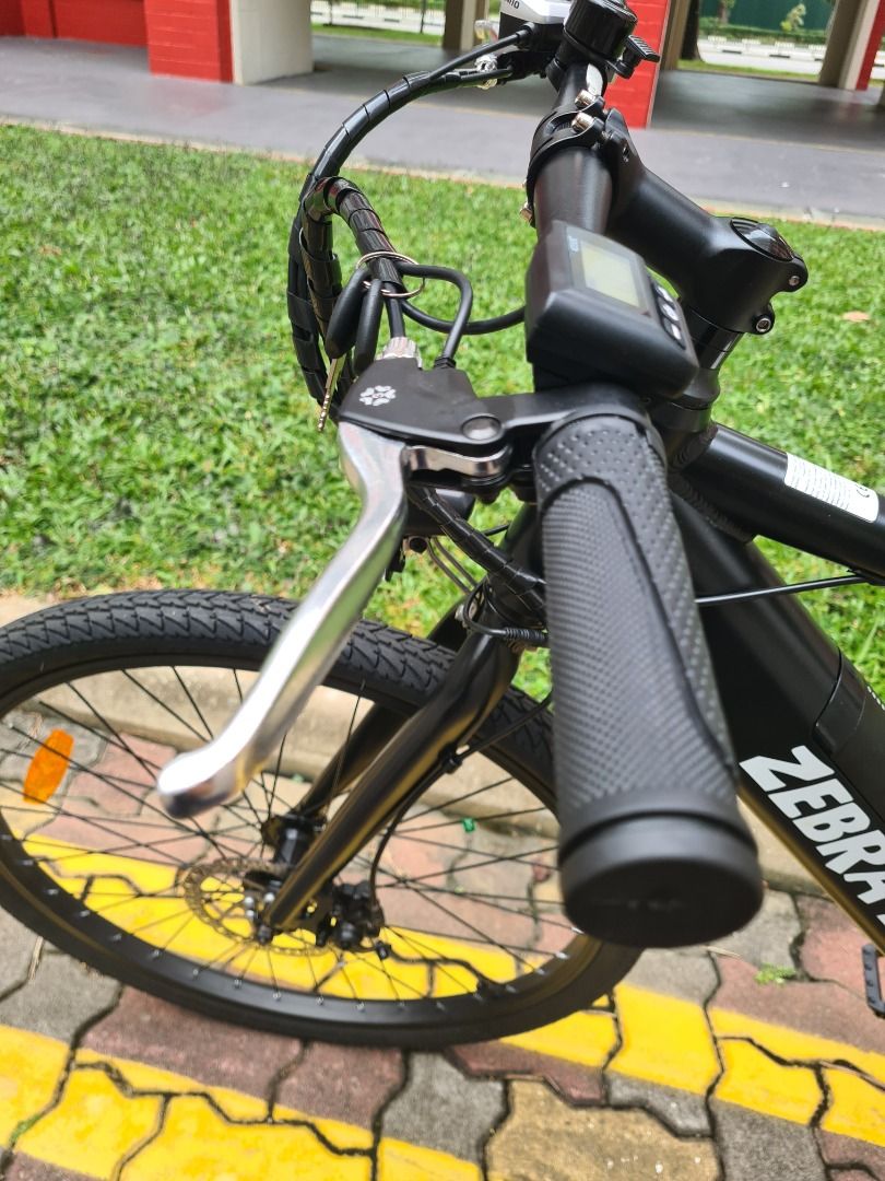 Zebra Model M Electric Bicycle E Bike | 36V 10.5AH | INSTALMENT ...