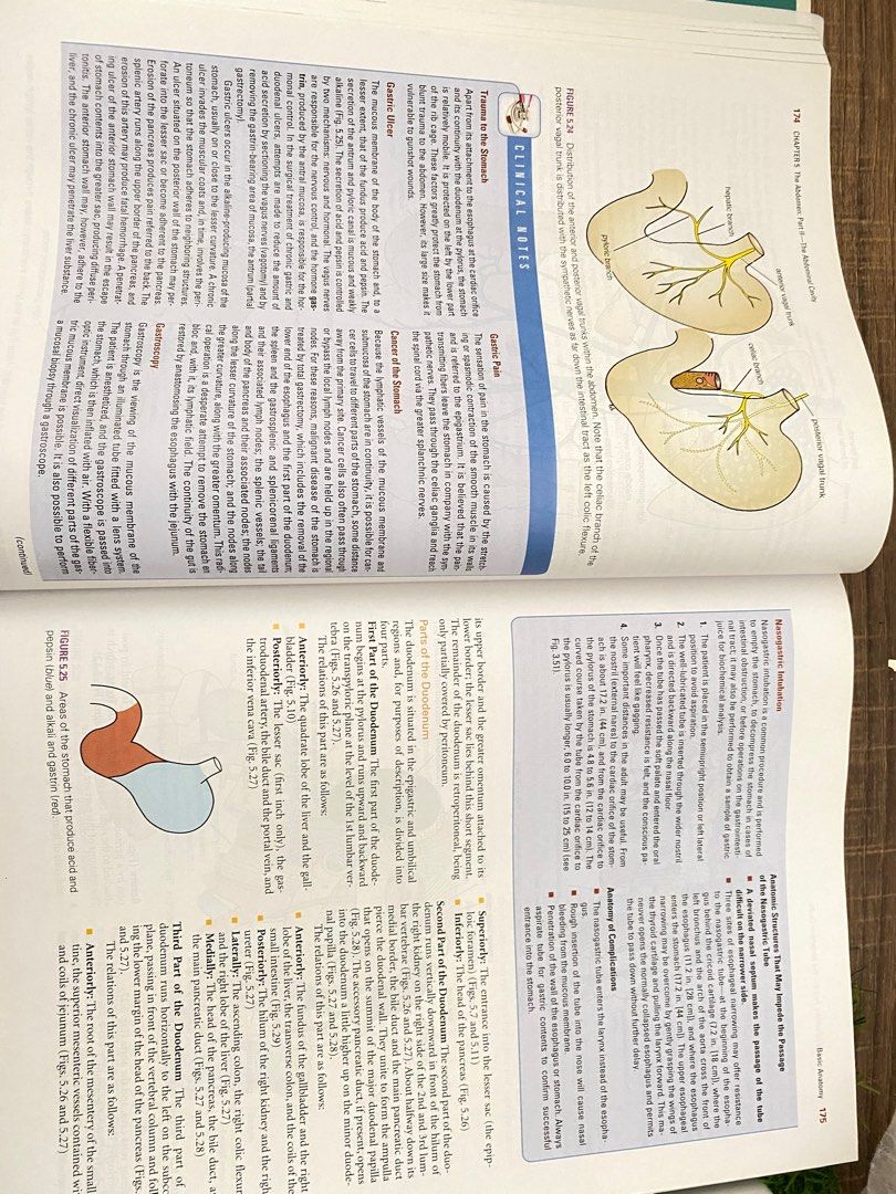 9th Edition Clinical Anatomy by Regions, Hobbies & Toys, Books ...