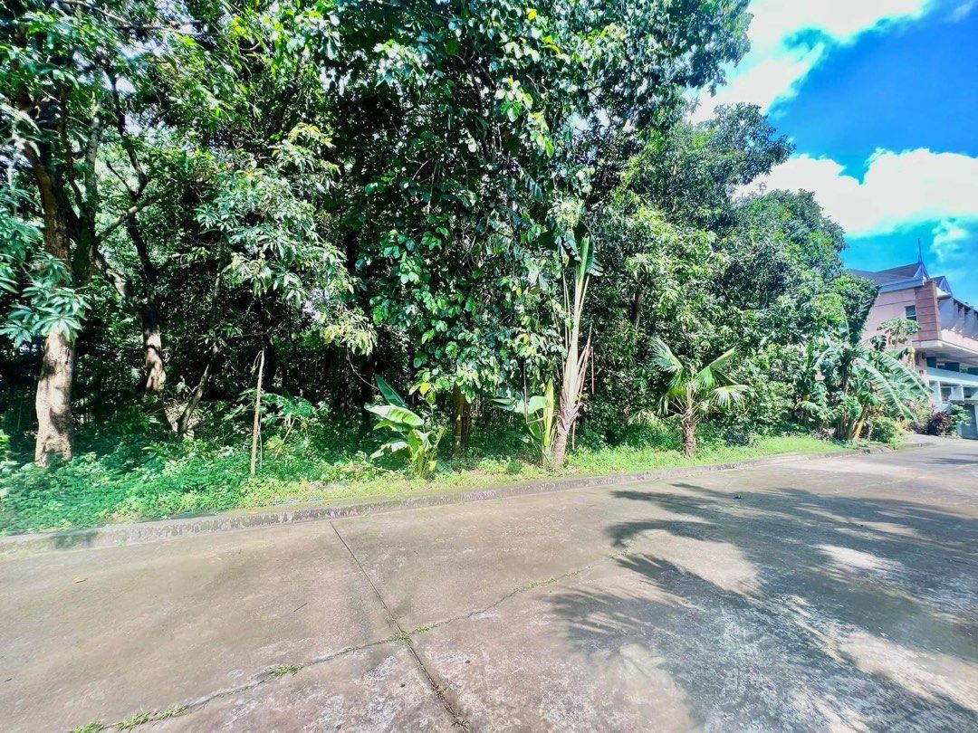 Best Buy vacant lot at Capitol Hills Drive Matandang Balara Quezon City ...