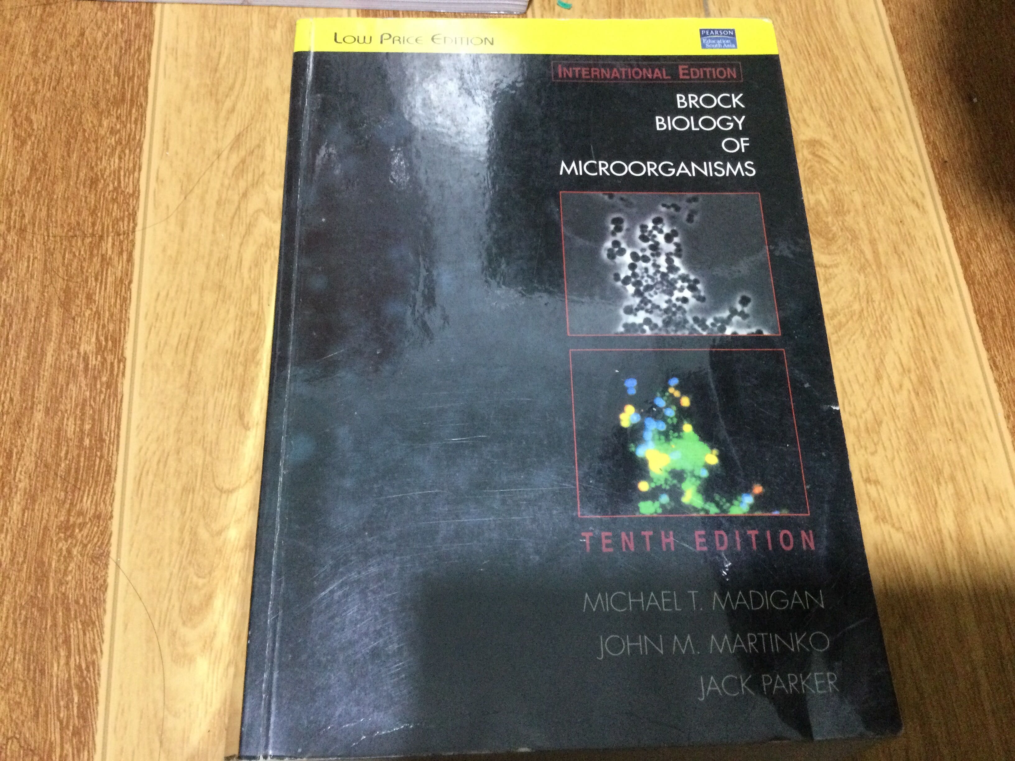 Brock biology of microorganisms 10th edition by michael madigan, john ...