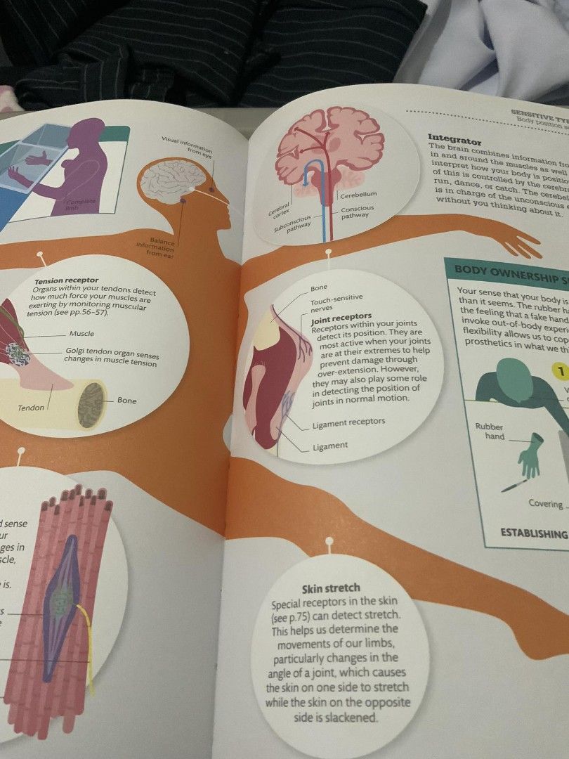 DK How The Body Works, Hobbies & Toys, Books & Magazines, Textbooks on ...