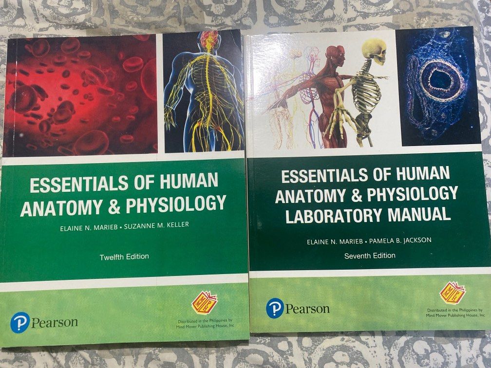 Essentials of Human Anatomy and Physiology 12th Edition, Hobbies & Toys ...