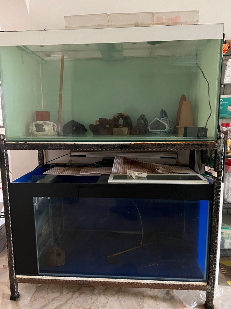 Fish tank 422 x 2set with stand 4ft x 2ft x 2ft, Pet Supplies, Homes ...