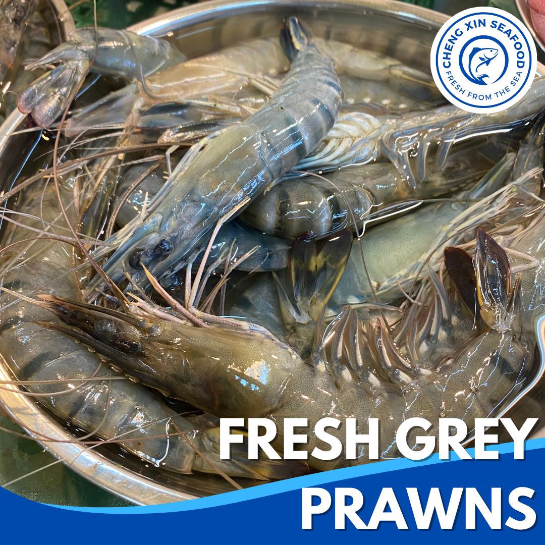Fresh Grey Prawns 500g, Food & Drinks, Fresh Produce on Carousell