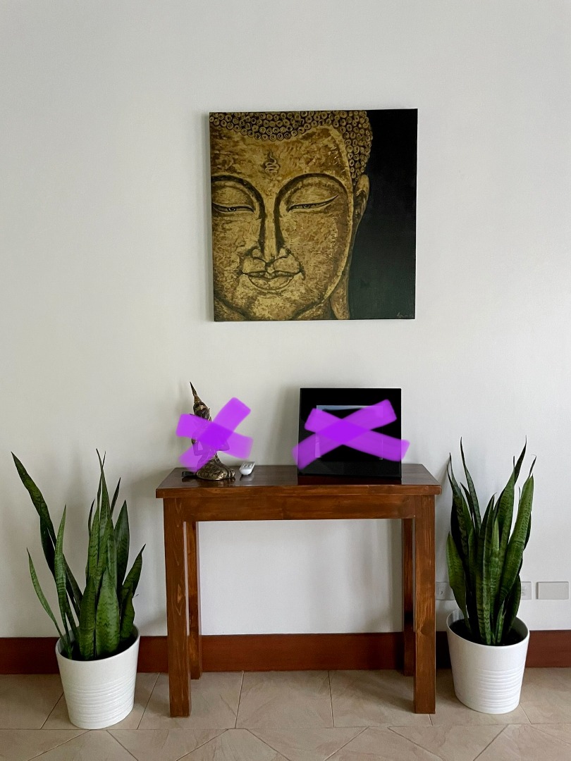 Globe, Buddha Painting, Snake Plants, Console Table for Sale on Carousell