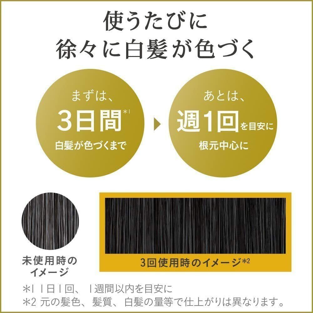 Rerise (Refill Pack) Hair Color for Grey Hair RE-Black, Beauty ...