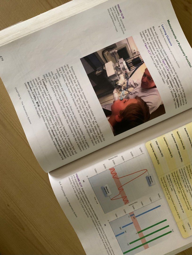 AnaPhy Book (Anatomy, Physiology, and Disease) on Carousell