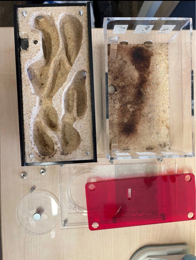 Ant Colony Stackable Formicarium, Pet Supplies, Homes & Other Pet ...