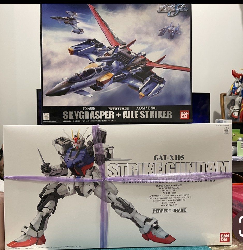 Bandai Perfect Grade PG Strike Gundam, Skygrasper + Aile Striker, 興趣及遊戲 ...