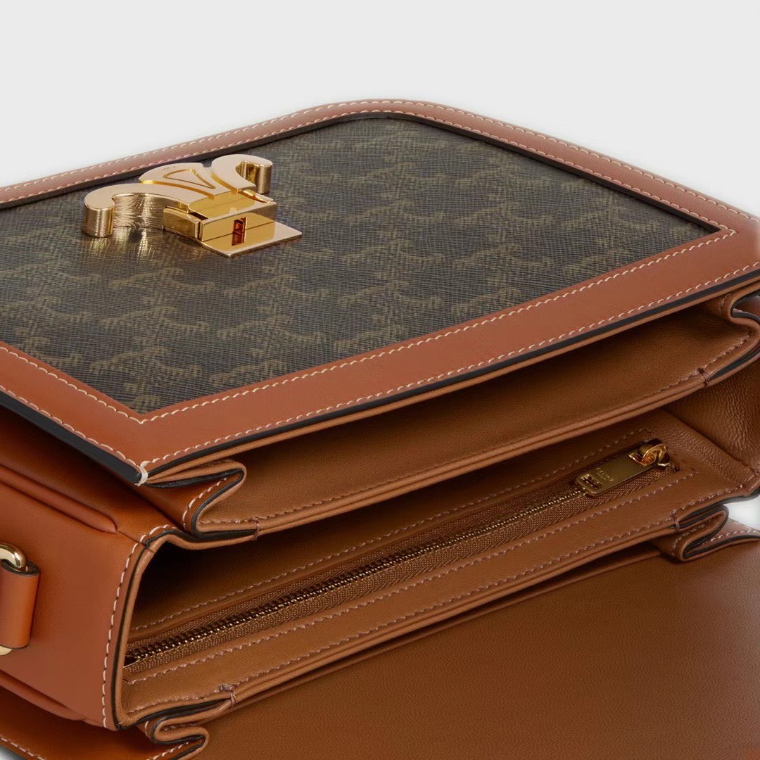 CELINE Triomphe Bag, Luxury, Bags & Wallets on Carousell