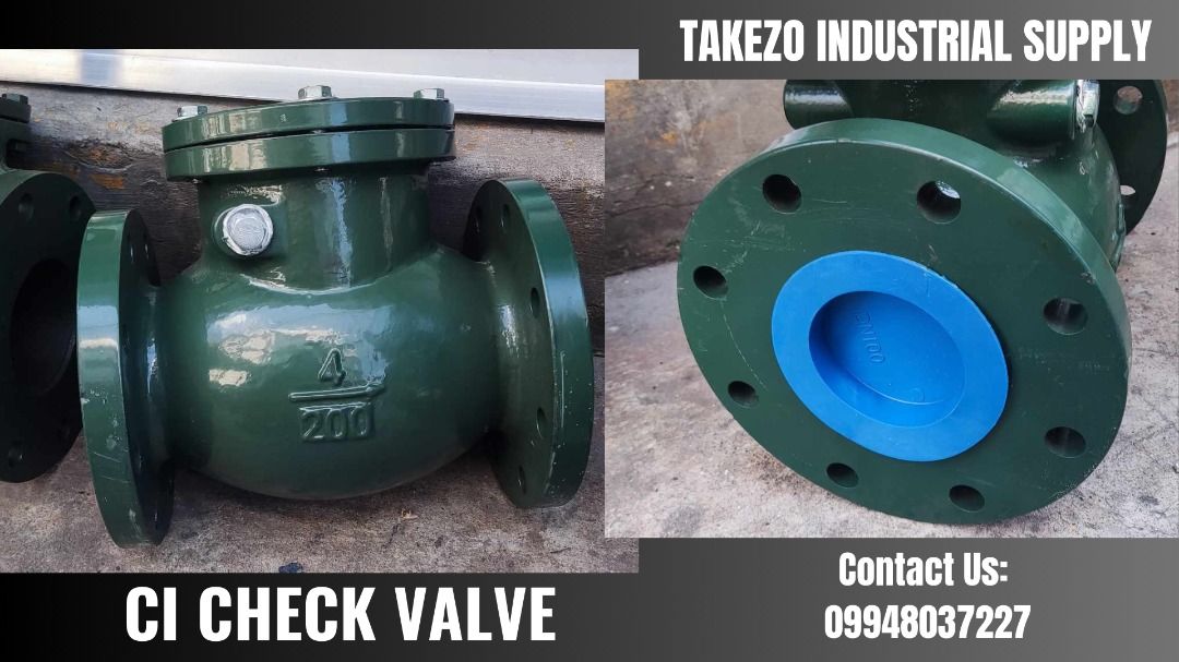 CI Check Valve on Carousell