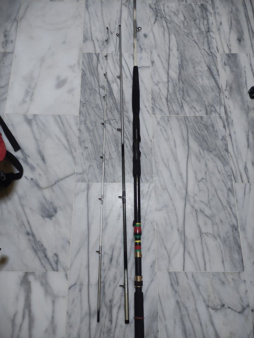 Daiwa amorphous whisker Surfcast, Sports Equipment, Fishing on Carousell