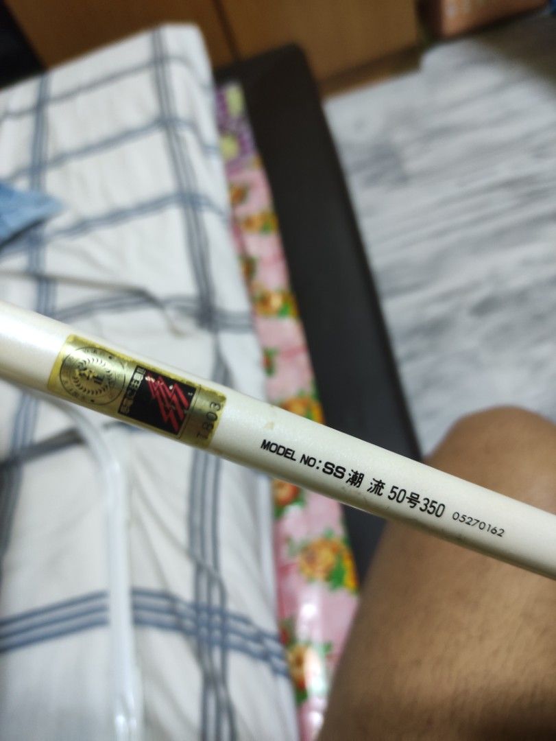 Daiwa amorphous whisker Surfcast, Sports Equipment, Fishing on Carousell