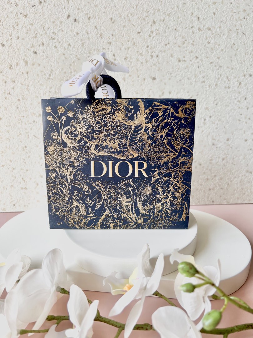 Dior paper bag, Barang Mewah, Tas & Dompet di Carousell